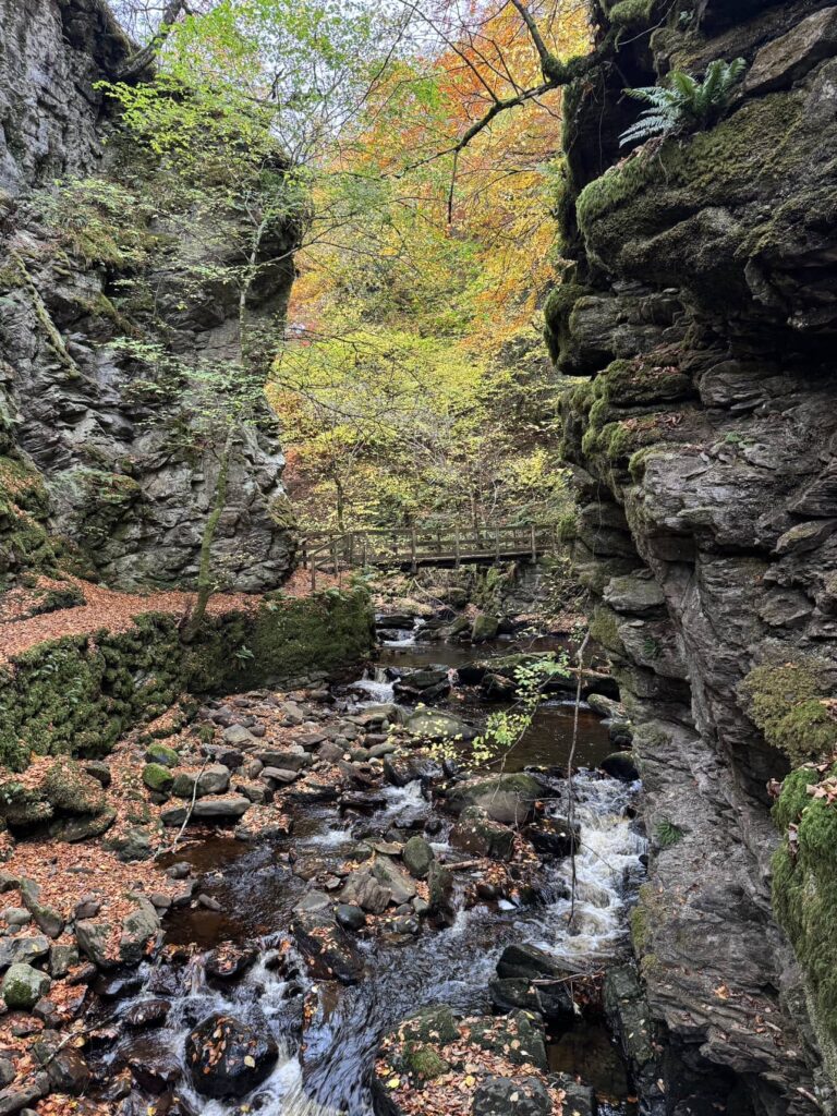 Hike in Inverness Golspie Burn waterfall and gorge • Folksy Travel by ...